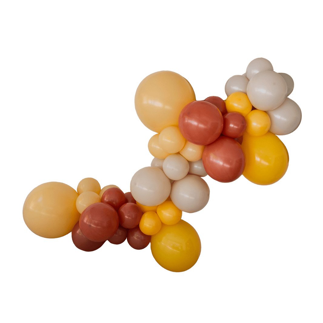 Balloon Kits – Page 3 – Bashify Event Co.